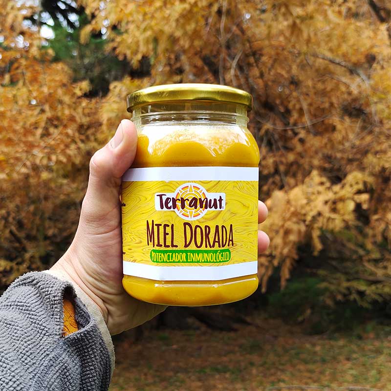 Miel Dorada 1000 g - Terranut